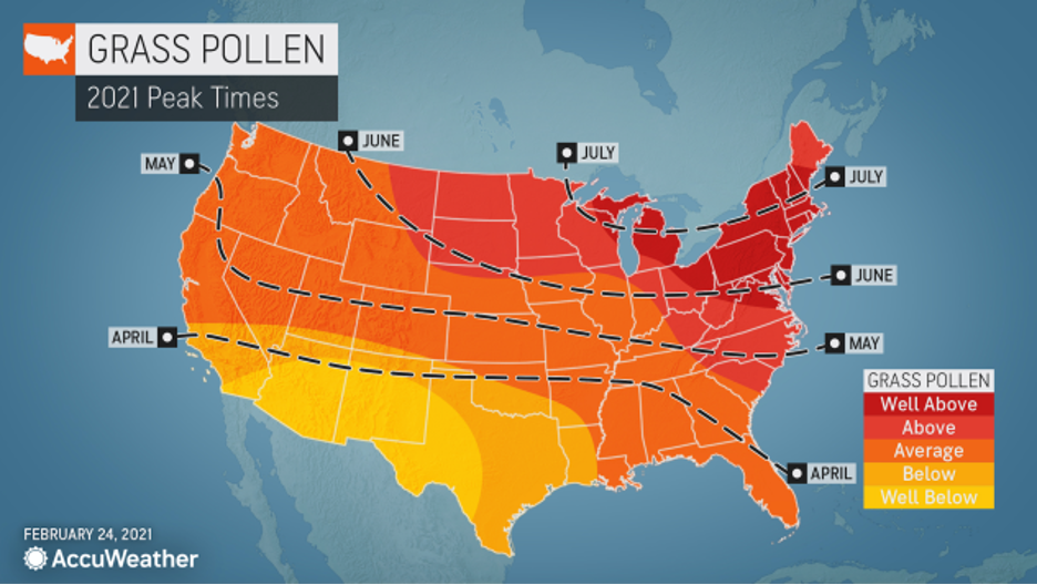 What will allergies look like across the US this spring? AccuWeather ...