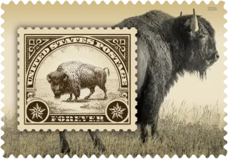 U.S. Postal Service issues American bison Forever stamp at Boston World ...
